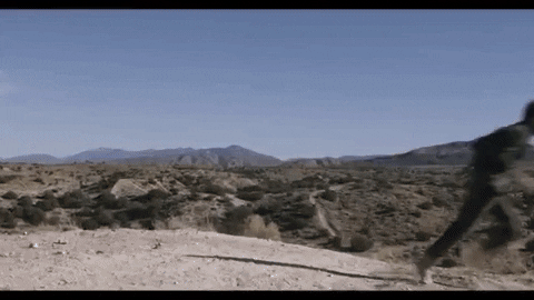 Music Video Jump GIF - Find & Share on GIPHY