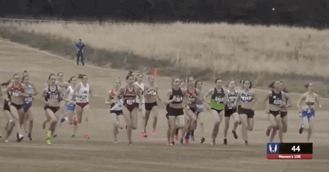 GIF by RunnerSpace.com - Find & Share on GIPHY