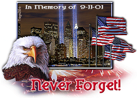 Remembering 911 GIF - Find & Share on GIPHY