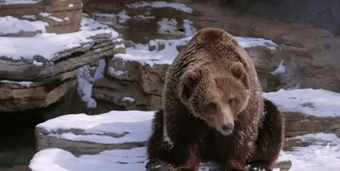 Colorado GIFs - Find & Share on GIPHY