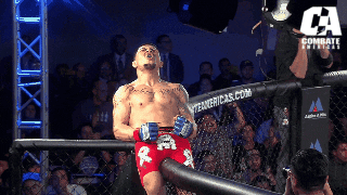 Mixed Martial Arts Fighting GIF by CombateAmericas - Find & Share on GIPHY