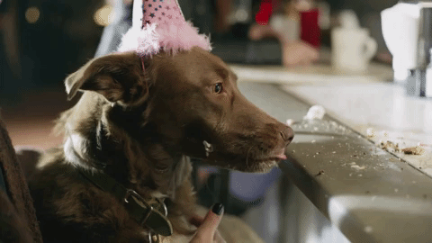 Mess GIF by Noah Kahan - Find & Share on GIPHY