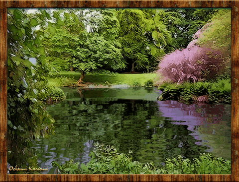 Pond GIFs - Find & Share on GIPHY