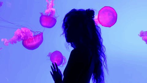 Just Slide GIF by Harry Hudson - Find & Share on GIPHY