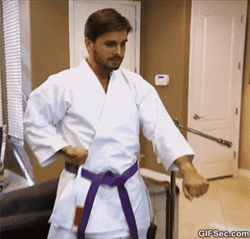 Karate GIF - Find & Share on GIPHY