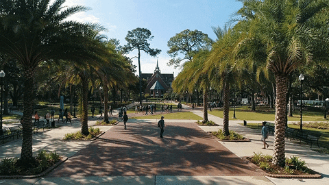 Good Morning GIF by University of Florida - Find & Share on GIPHY