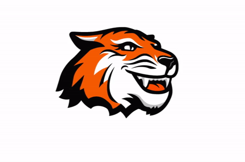 Tiger Smiling GIF by Rochester Institute of Technology - Find & Share ...