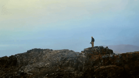 Contemplate Discovery Channel GIF by Discovery Europe - Find & Share on ...