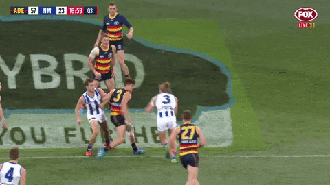 Round 22 Afl GIF by Adelaide Crows - Find & Share on GIPHY
