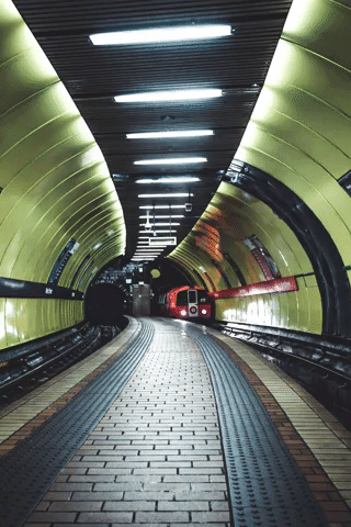 Train Glasgow GIF by Marcelo TNS - Find & Share on GIPHY
