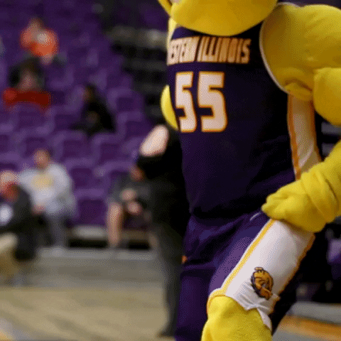 School College GIF by Western Illinois University - Find & Share on GIPHY