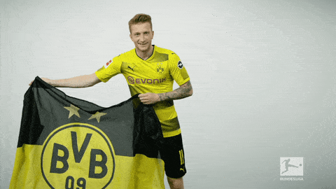 Borussia Dortmund GIF by Bundesliga - Find & Share on GIPHY