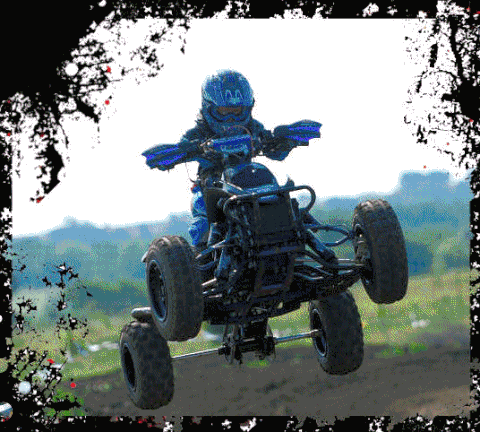 Quad GIF - Find & Share on GIPHY