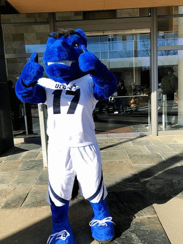 University Of California Gunrock GIF by UCDavis - Find & Share on GIPHY