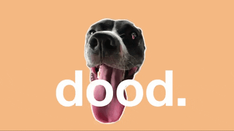 Dood GIFs - Find & Share on GIPHY