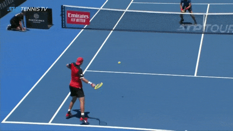 Tennis Funny GIFs - Get the best GIF on GIPHY