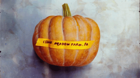 Dan Barber Sweetgreen GIF by NOWNESS - Find & Share on GIPHY