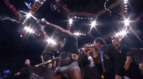 Ufc 232 Sport GIF by UFC - Find & Share on GIPHY