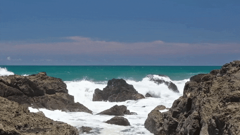 Costa Rica Waves GIF by Chris - Find & Share on GIPHY