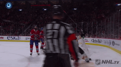 Celebrate Ice Hockey GIF by NHL - Find & Share on GIPHY