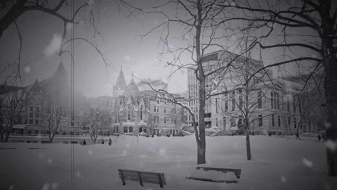 GIF by McGill University - Find & Share on GIPHY
