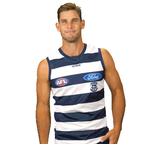 Tom Hawkins Football Sticker by geelongcats for iOS & Android | GIPHY
