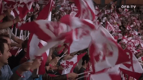 National Team Fans GIF - Find & Share on GIPHY