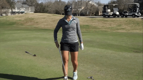 Golf Wave GIF by GreenWave - Find & Share on GIPHY