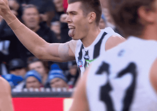 Football Afl GIF by CollingwoodFC - Find & Share on GIPHY