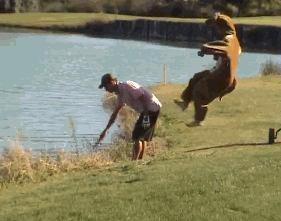 Jump GIF - Find & Share on GIPHY