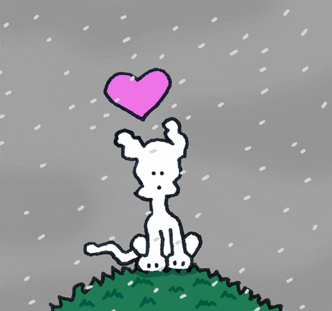 Rainy Day Rain GIF by Chippy the Dog - Find & Share on GIPHY