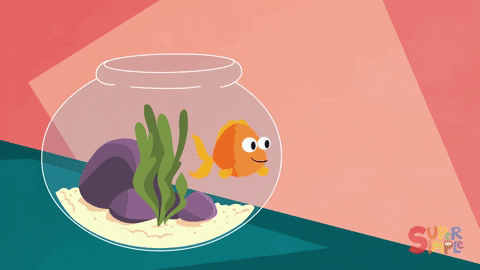 Scared Peek A Boo GIF by Super Simple - Find & Share on GIPHY