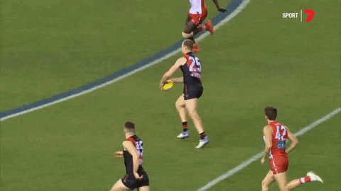 Sport Yes GIF by Essendon FC - Find & Share on GIPHY