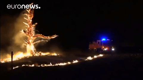 Fire Wildfire GIF by euronews - Find & Share on GIPHY