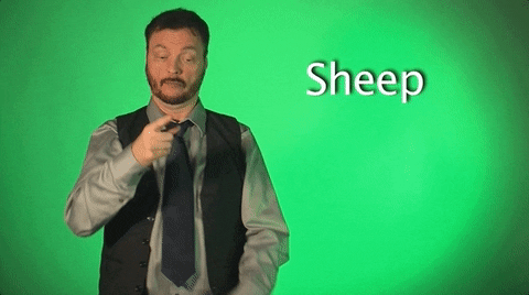 Sign Language Sheep GIF by Sign with Robert - Find & Share on GIPHY