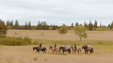 Dude Ranch Fall GIF by Hallmark Channel - Find & Share on GIPHY