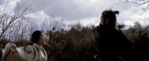 Shogun Assasin GIF by Coolidge Corner Theatre - Find & Share on GIPHY