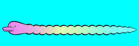 Rainbow Worm GIF by CUPCO - Find & Share on GIPHY