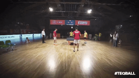 Hungary Areyouteq GIF by Teqball - Find & Share on GIPHY