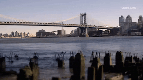 Bridge GIF by Hustle - Find & Share on GIPHY