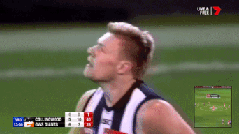 Footy Celebrations GIF by AFL - Find & Share on GIPHY