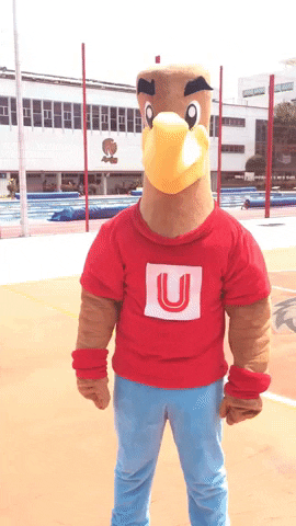 Ku GIF by UPAEP - Find & Share on GIPHY