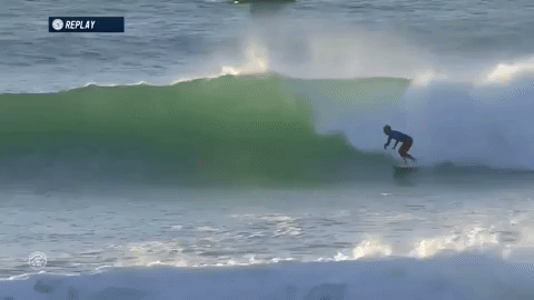 Water Sports Sport GIF by World Surf League - Find & Share on GIPHY