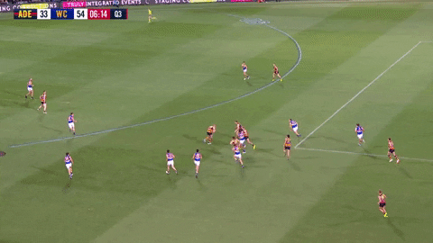 Round 15 Afl GIF by Adelaide Crows - Find & Share on GIPHY