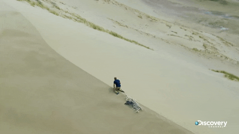 Discovery Channel Survival GIF by Discovery Europe - Find & Share on GIPHY