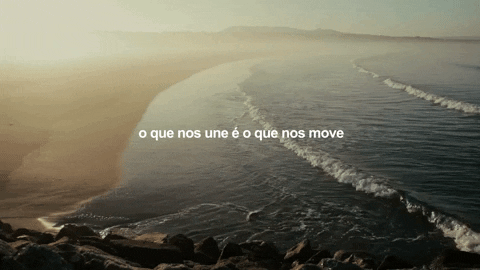 Life Beach GIF by Triauto - Find & Share on GIPHY