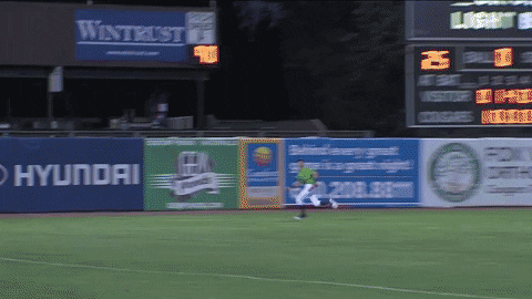 Minor League Baseball Diving Catch GIF by Kane County Cougars - Find ...