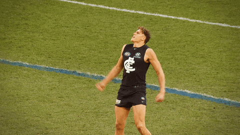 Carlton Fc GIF by Carlton Football Club - Find & Share on GIPHY