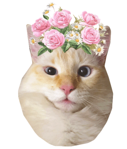 Cat Flowers Sticker for iOS & Android | GIPHY
