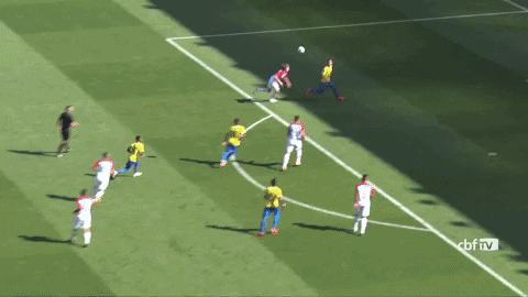 Selecao Brasileira Soccer GIF by Confederação Brasileira de Futebol ...